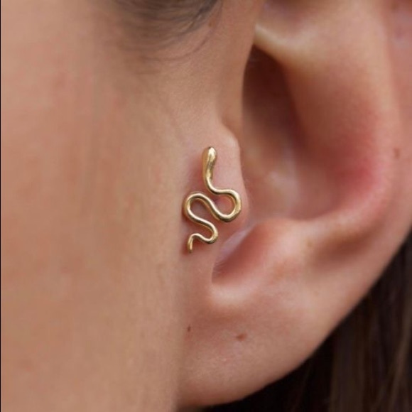 Urban Outfitters | Jewelry | Dainty Gold Snake Stud Earrings | Poshmark